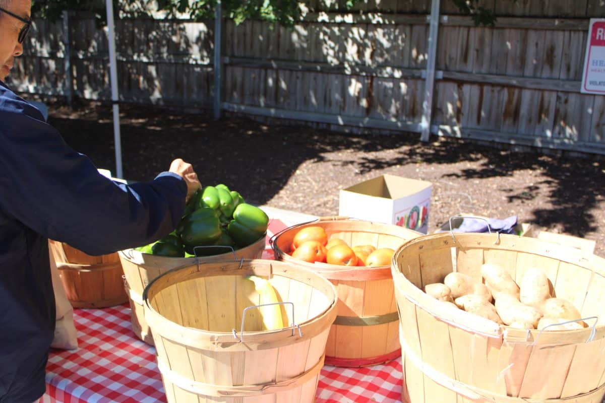 Annual Health Fair Recap | Tapestry 360 Health
